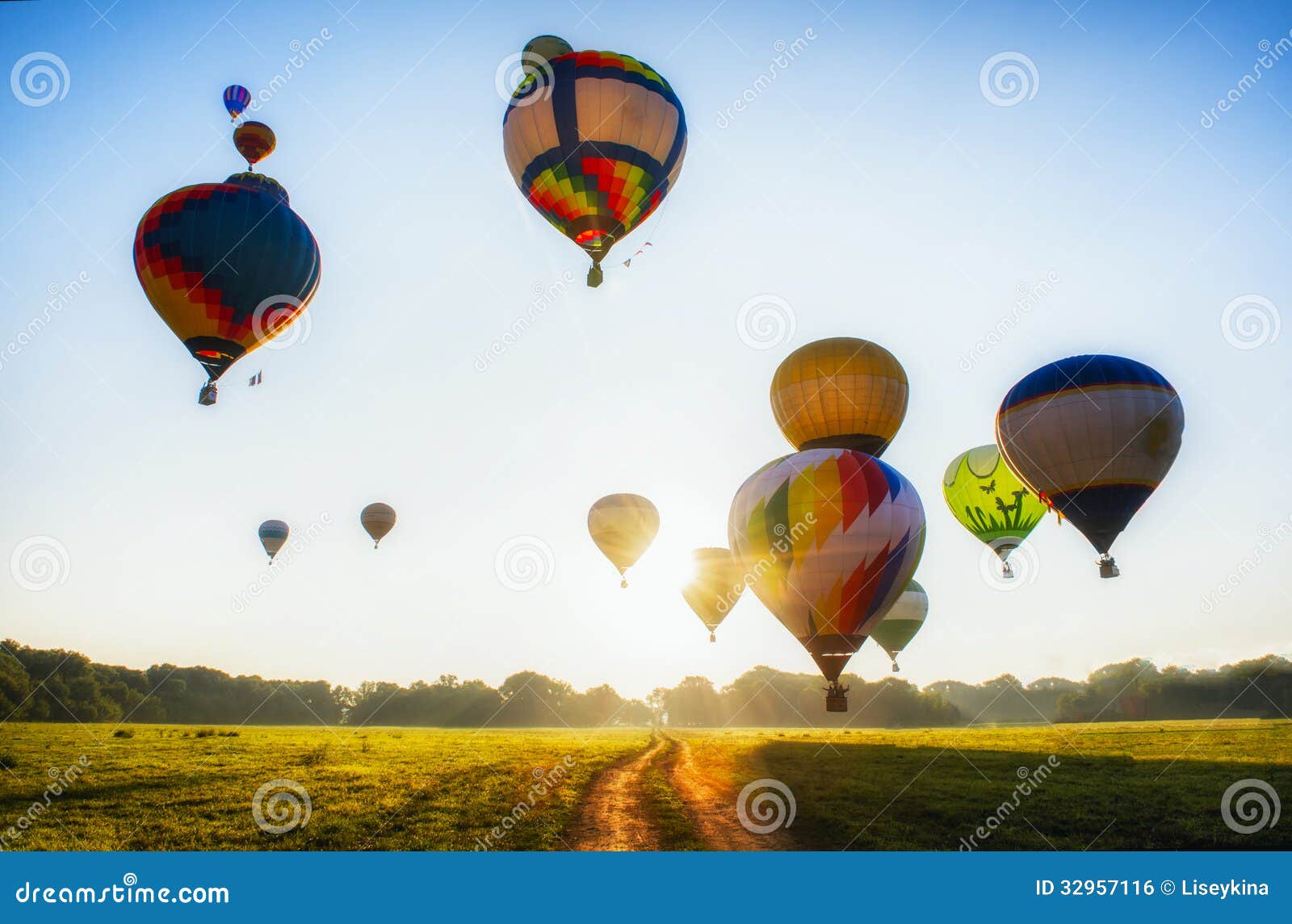 Hot-air Balloons Over Field Stock Photo - Image of start, summer: 32957116