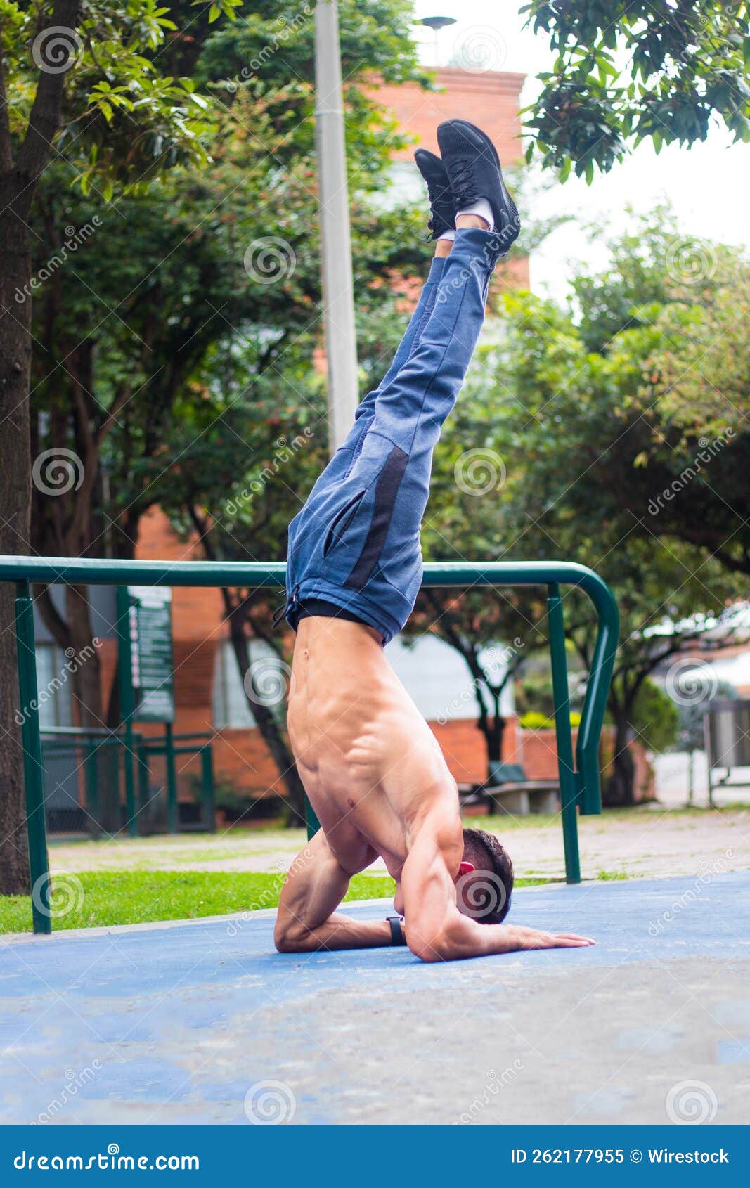 Hot Attractive Man Doing a Handstand in a Park Stock Image - Image of ...