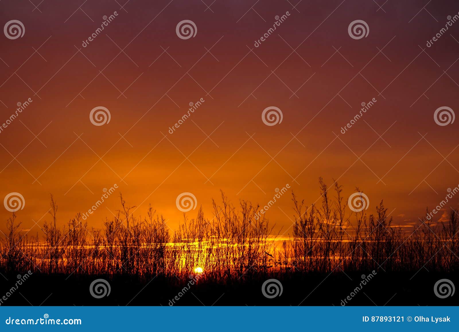 Hot Blazing Sunset in the Field Stock Image - Image of blazing, yellow ...
