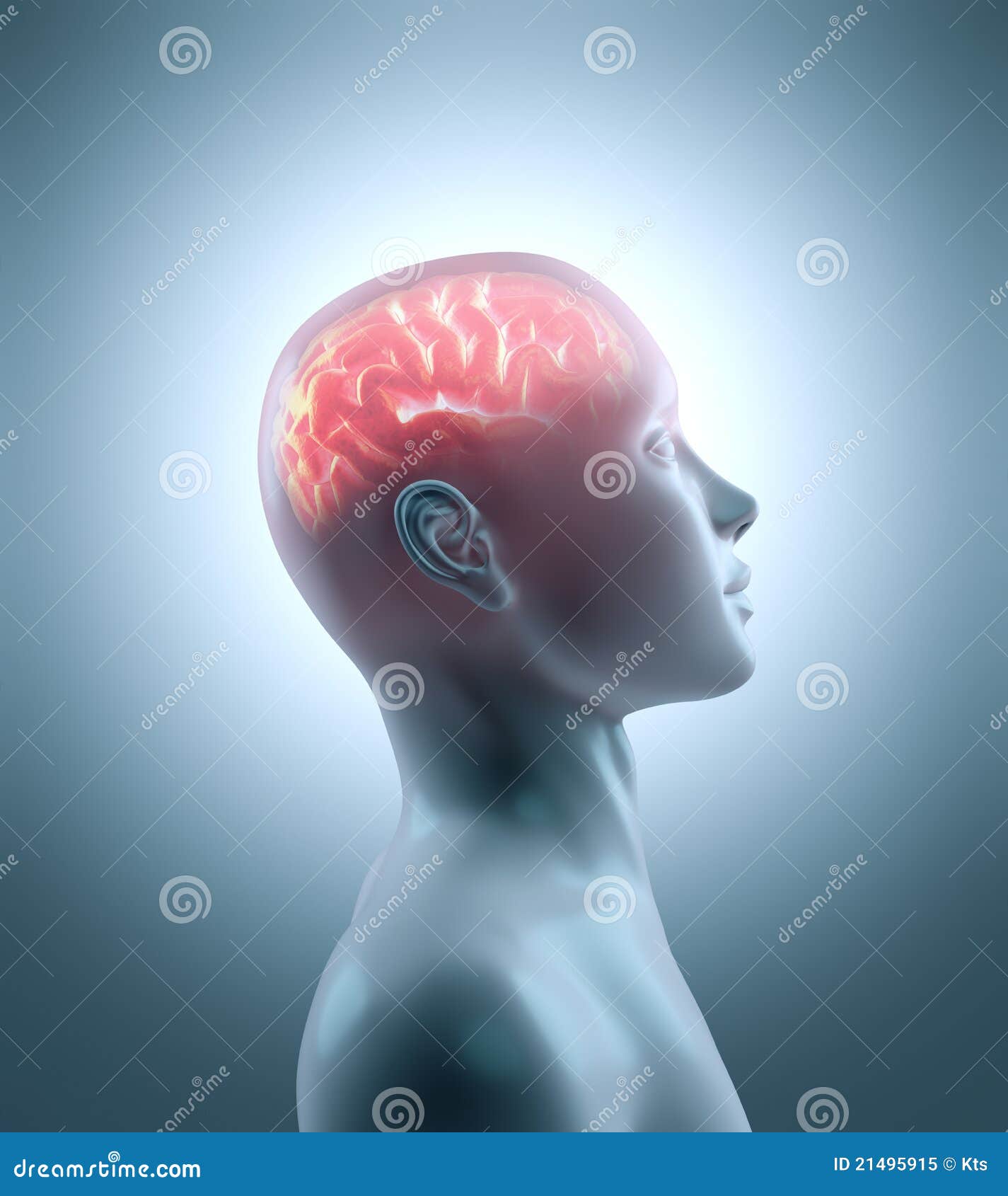 Hot brain stock illustration. Illustration of energy - 21495915