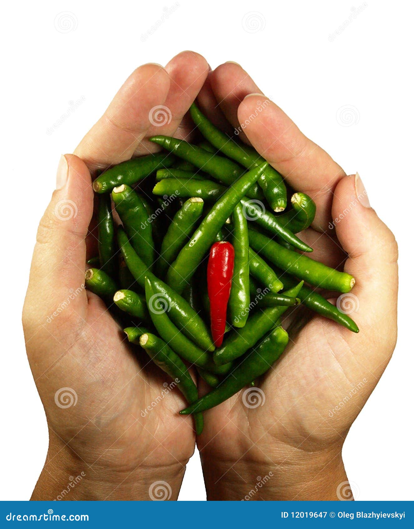 Hot Chili Peper in the Hands Stock Image - Image of appetizer, mexican ...