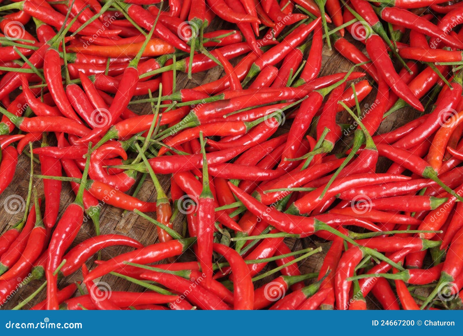Hot Chilli 1 stock photo. Image of little, condiment - 24667200