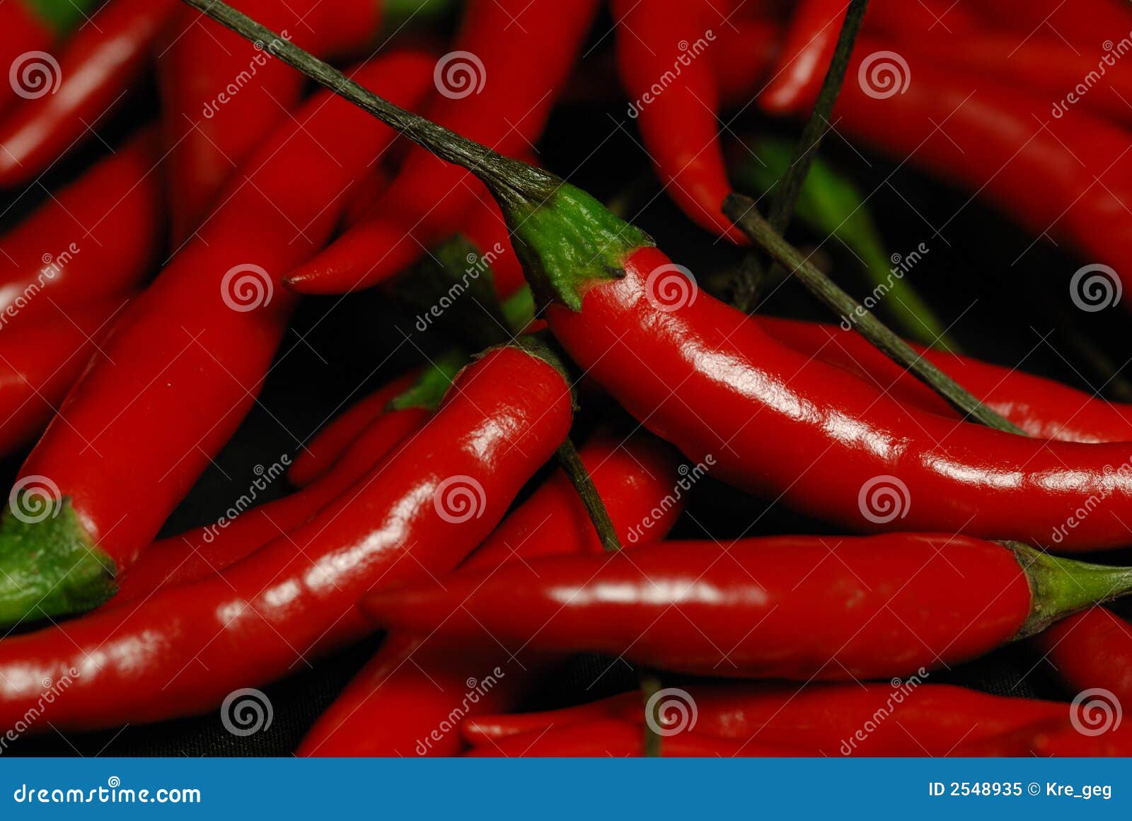 Hot chillies stock image. Image of asian, mexican, chili - 2548935