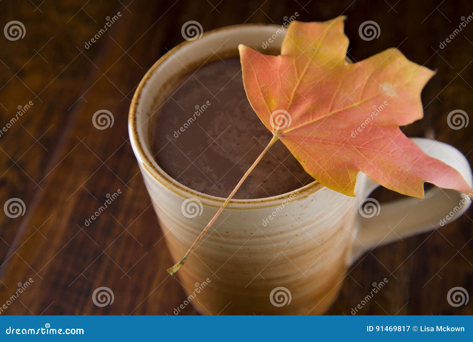 Hot Chocolate in the Fall stock image. Image of outdoor - 91469817