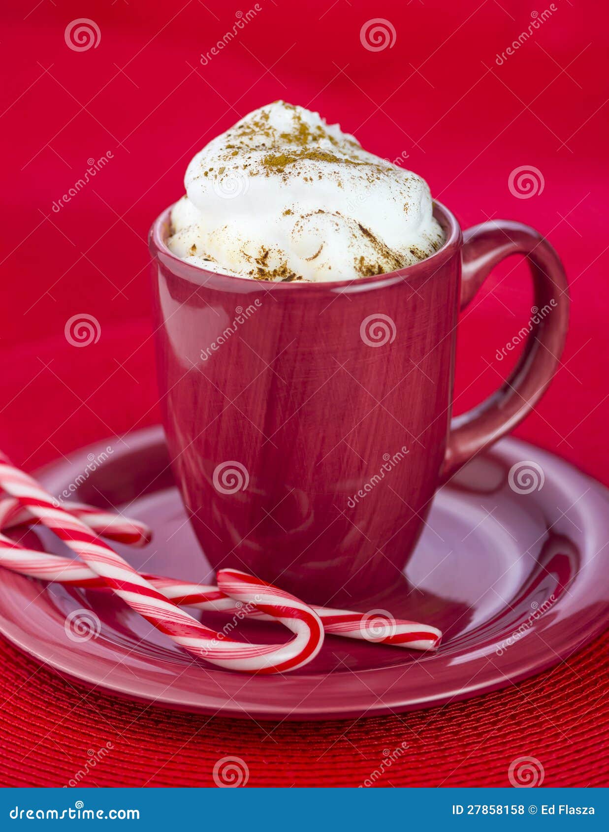 Hot Cocoa stock photo. Image of dessert, tasty, drink - 27858158
