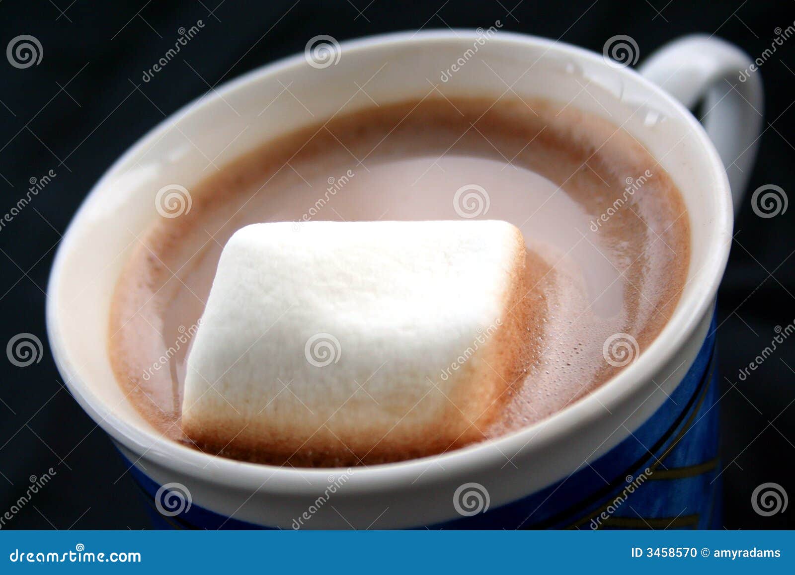 Hot Cocoa stock photo. Image of cocoa, seasonal, warm - 3458570