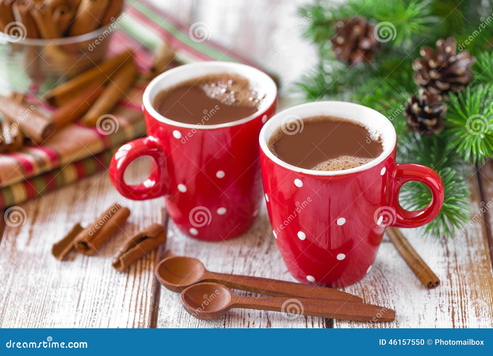 Hot cocoa drink stock photo. Image of spruce, merry, gourmet - 46157550