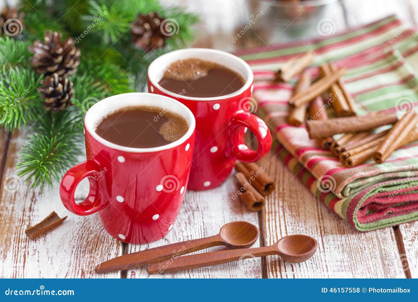 Hot cocoa drink stock photo. Image of noel, spruce, gourmet - 46157558