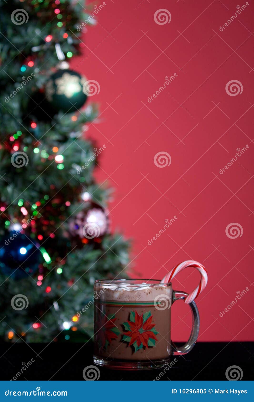 Hot Cocoa and Holiday Tree stock image. Image of hopeful - 16296805