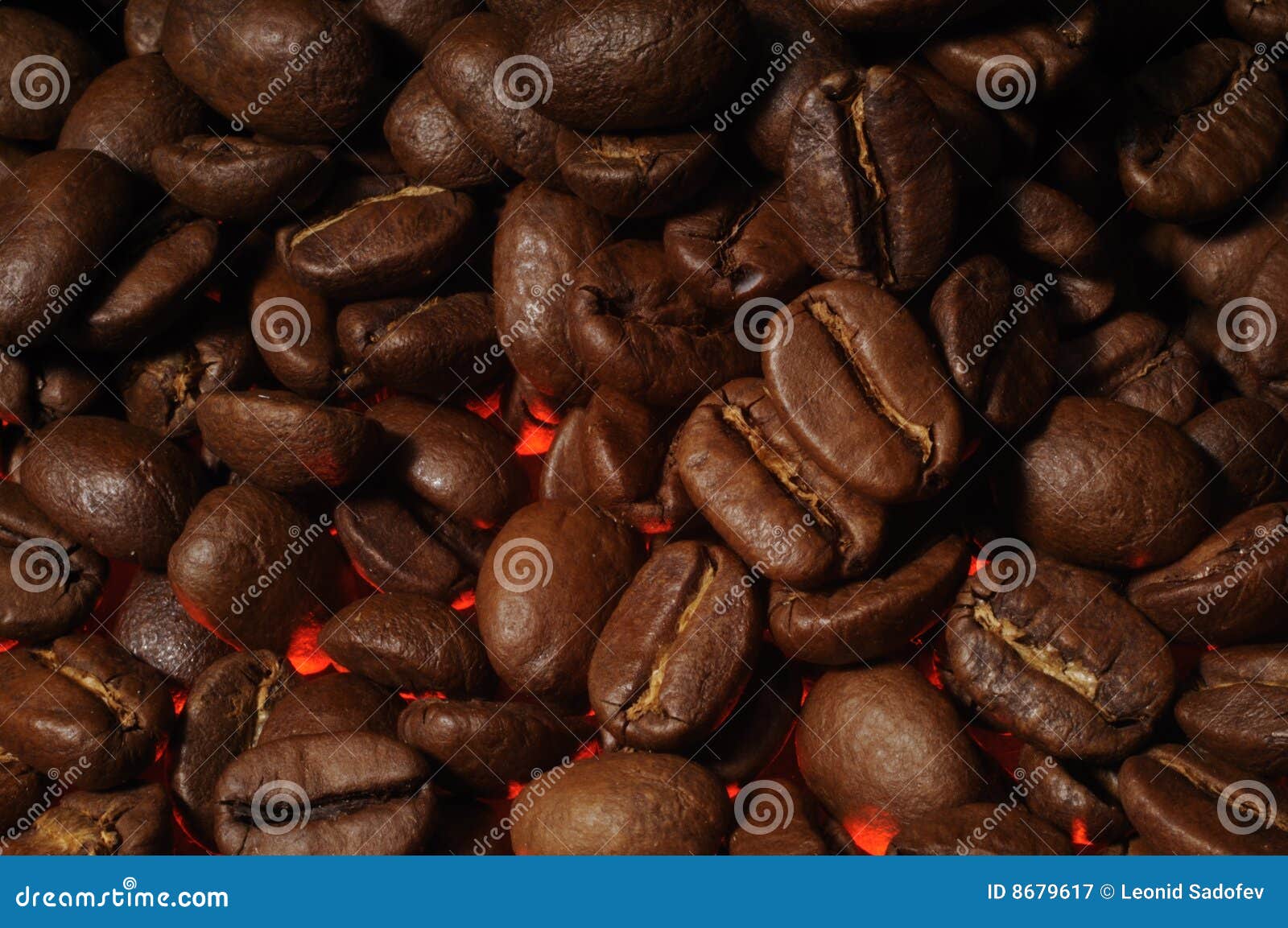 Hot coffee beans stock image. Image of still, beans, relaxation - 8679617