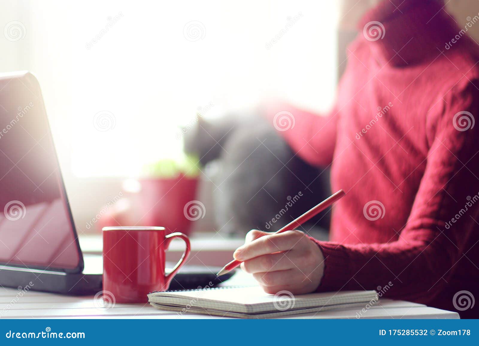 Cozy remote homework stock photo. Image of internet - 175285532