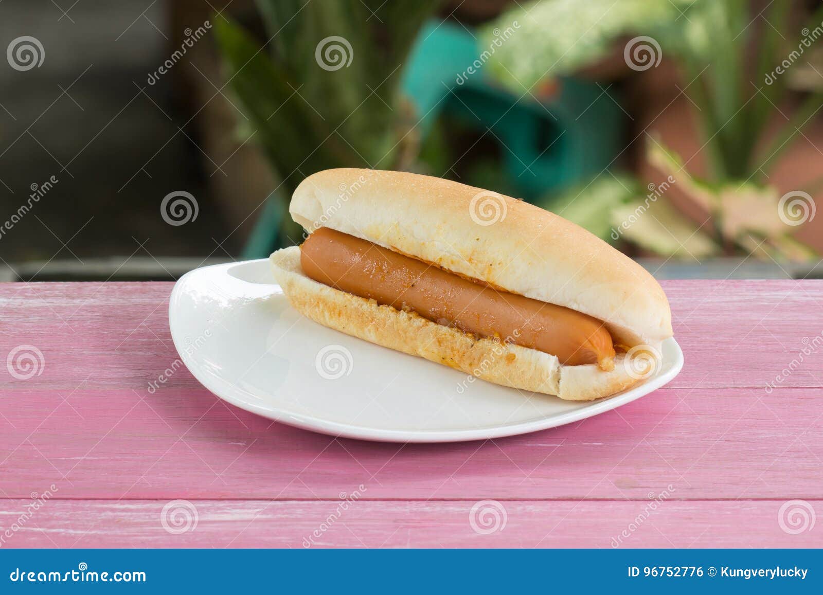 Hot dog on the plate stock photo. Image of bread, tasty - 96752776