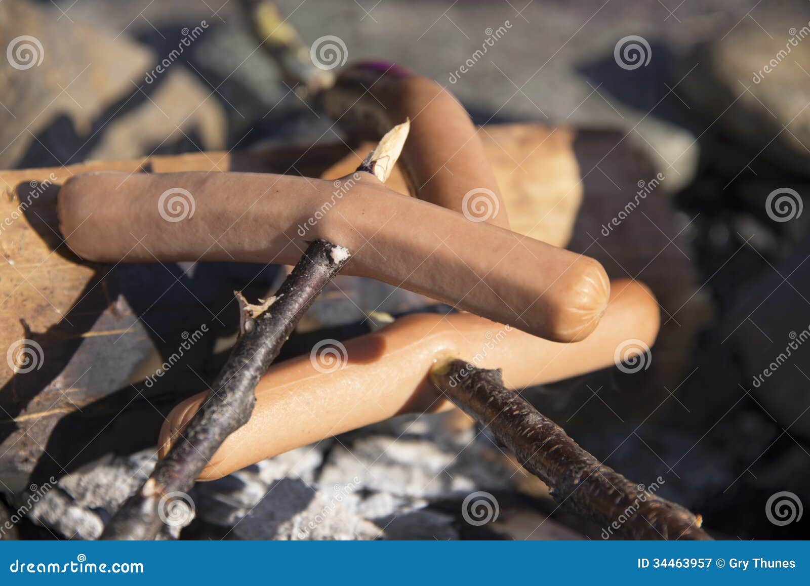 Hot dogs on bonfire stock image. Image of wilderness - 34463957