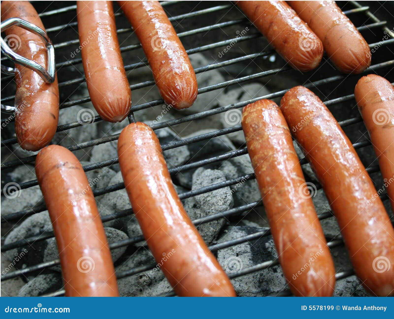 Hot Dogs on the Grill stock image. Image of franks, cook - 5578199