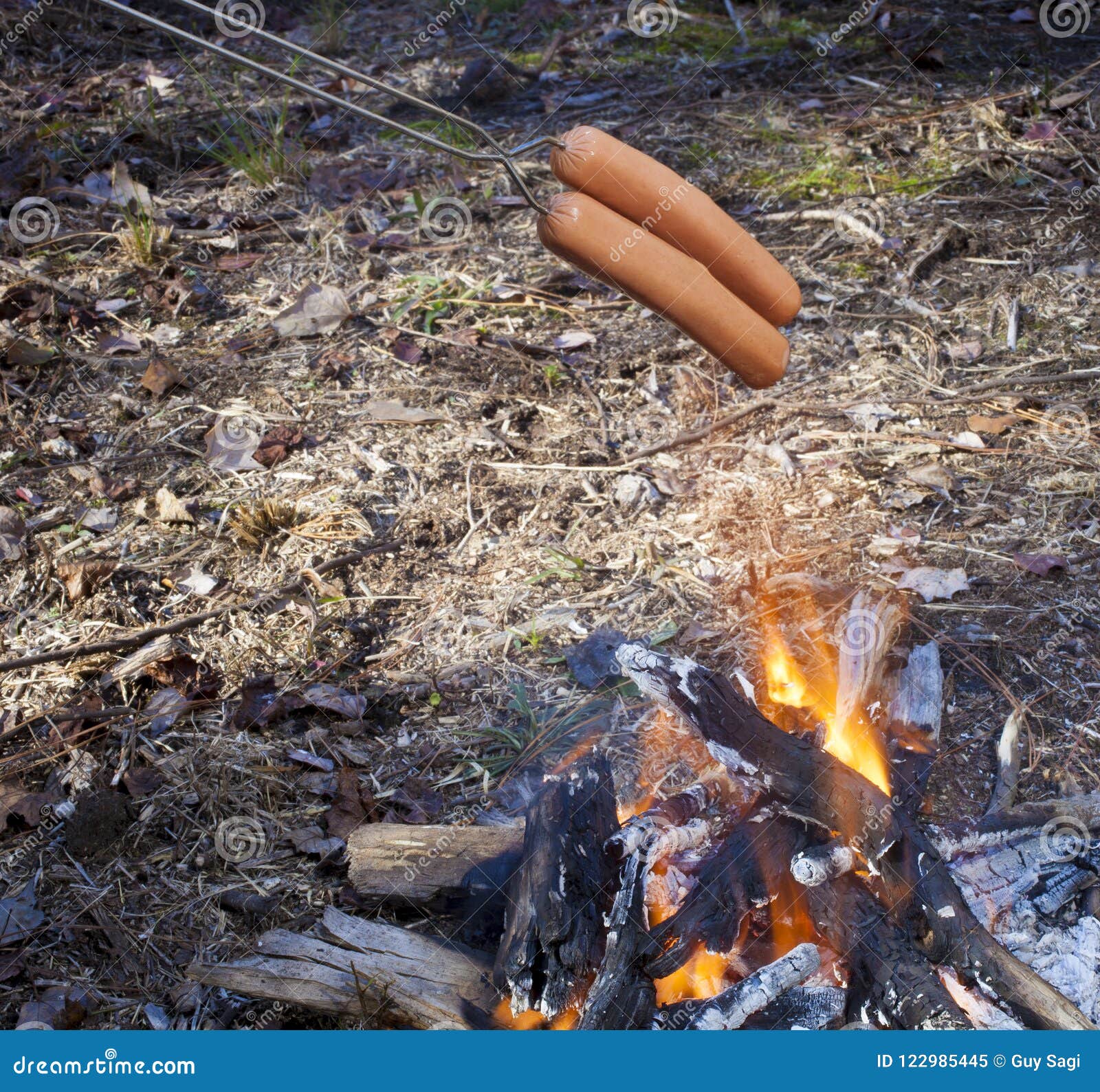 Hot dogs over a campfire stock image. Image of skewer - 122985445