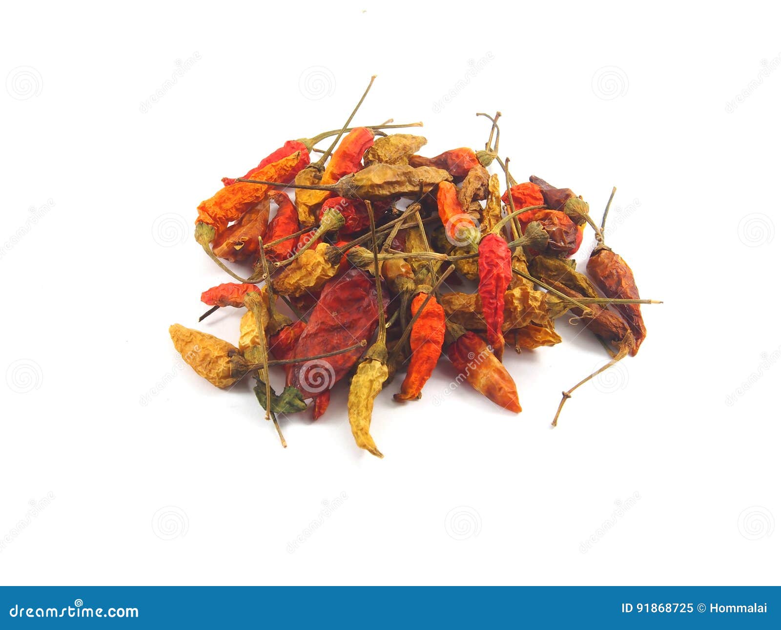 Hot Dry Red Chilli stock image. Image of pepper, chillies - 91868725
