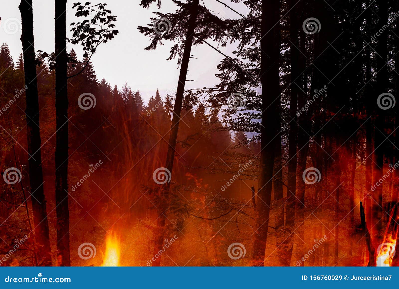 Hot Fire Burning the Forest in Dark Low Key Tone. Stock Image - Image ...