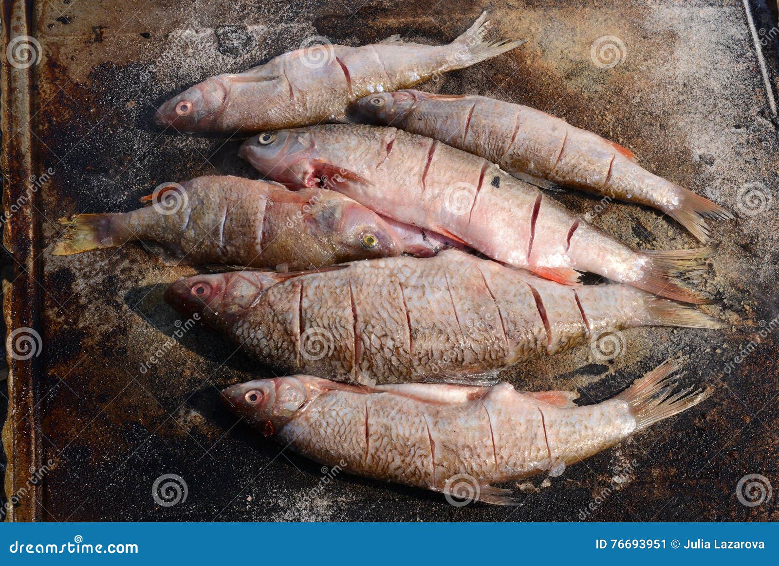 Hot Fish on a Grilling Pan September 2, 2016 Stock Image - Image of ...