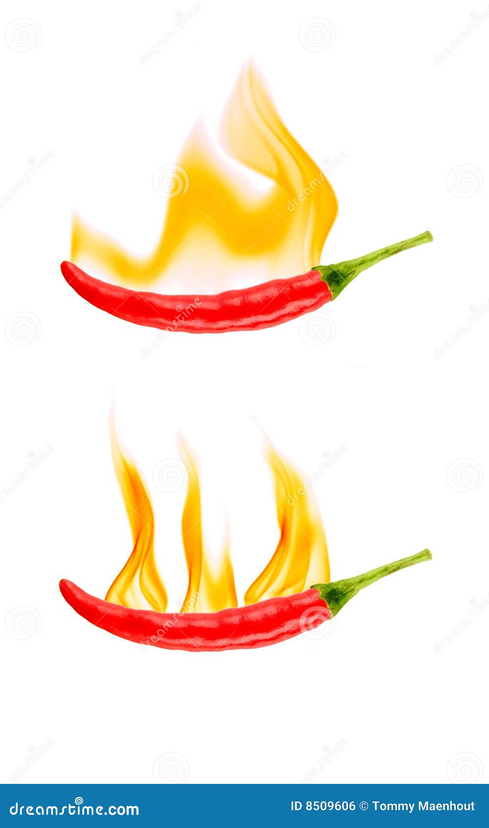 Hot flaming red pepper stock photo. Image of bell, spice - 8509606
