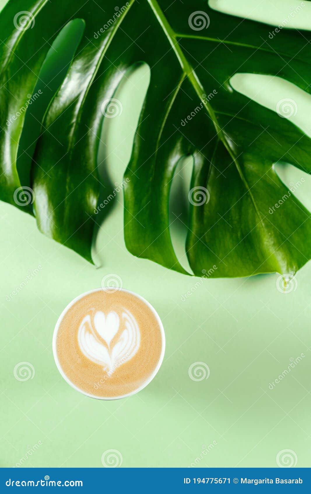 Matcha Leave Stock Photos - Free & Royalty-Free Stock Photos from ...