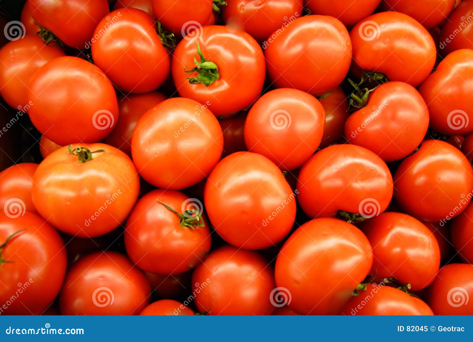 Hot House Tomatoes stock image. Image of shine, grocery - 82045