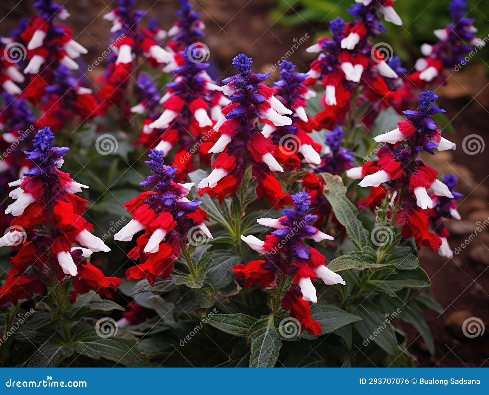 Ai Generated Illustration Wildlife Concept of Hot Hummer Stock ...