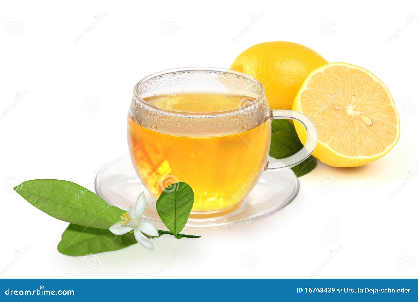 Hot lemon for a cold stock image. Image of blossom, drink - 16768439