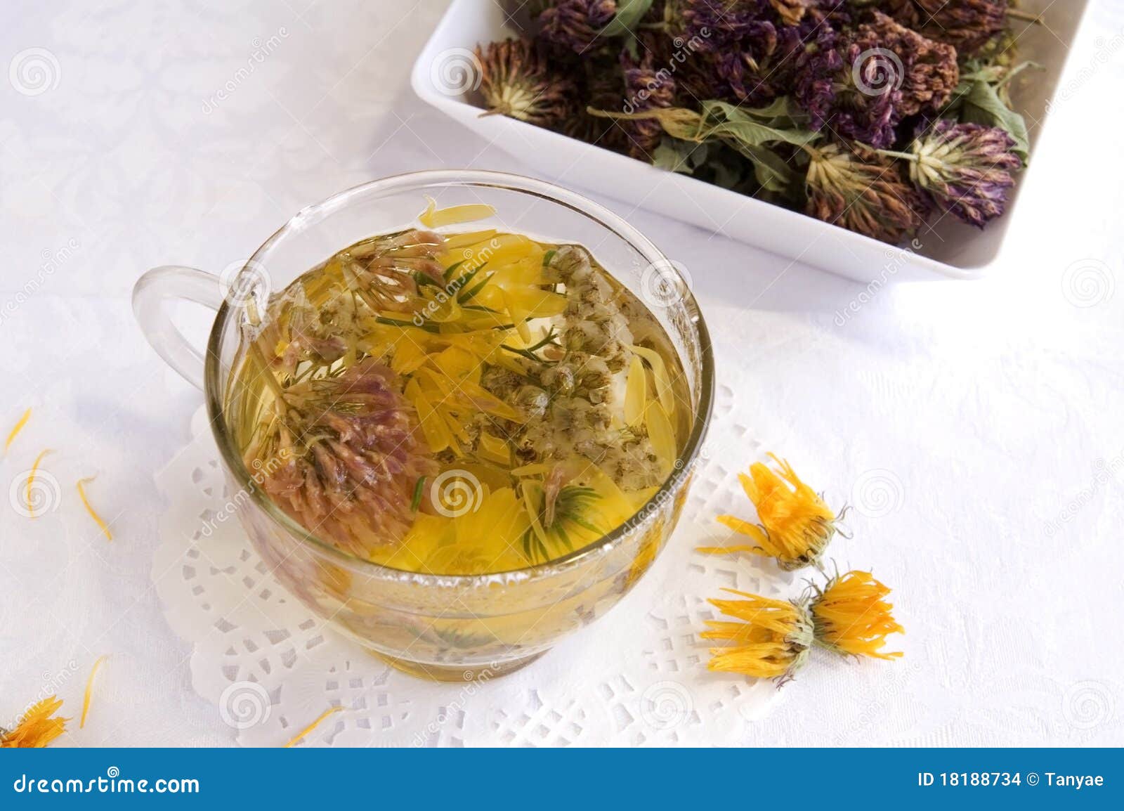 Hot medical herbal tea stock photo. Image of drinks, bath - 18188734