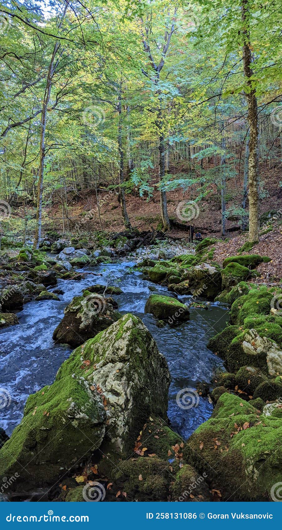 Hot Mointain Spring in Zelengora. Stock Photo - Image of zelengora ...