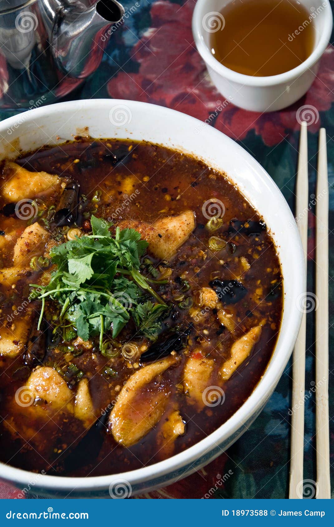 Hot oil soup stock photo. Image of asian, bowl, sliced - 18973588