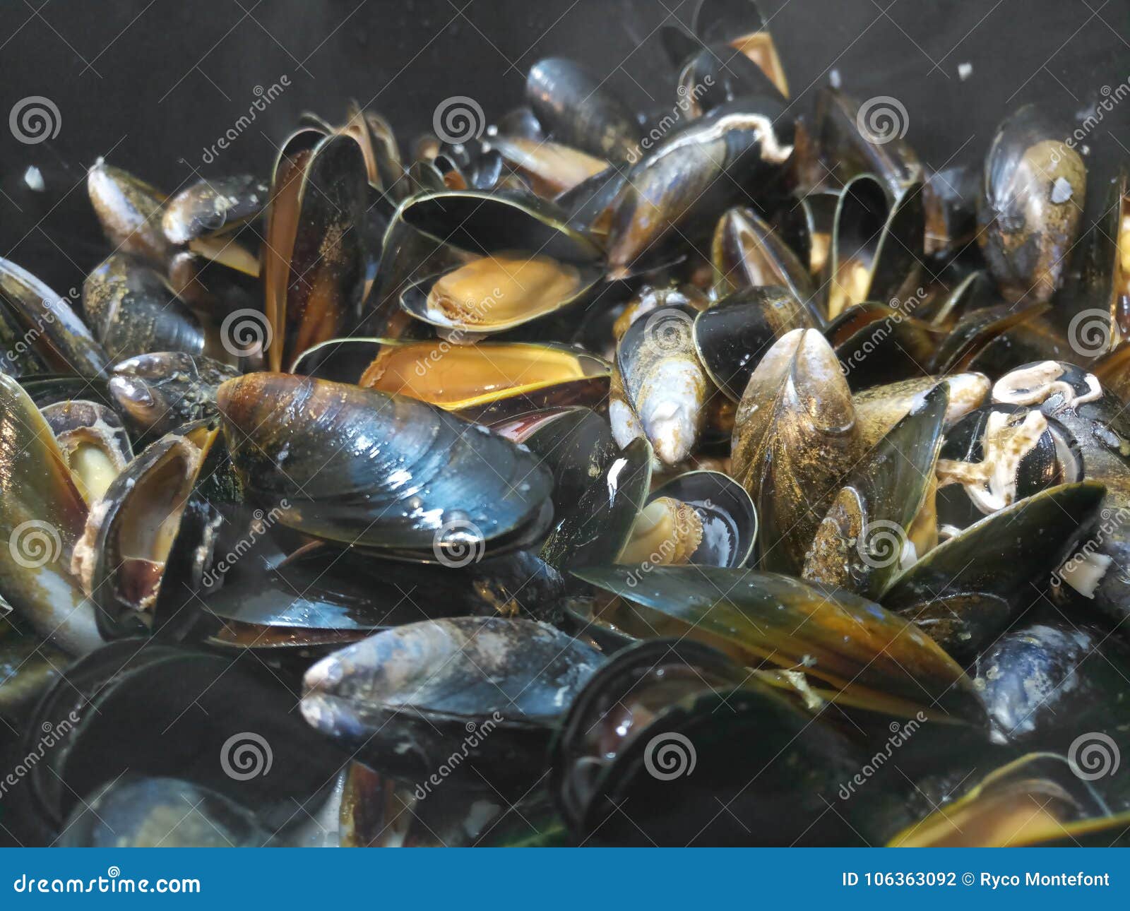 Hot opened up mussels stock photo. Image of mussels - 106363092