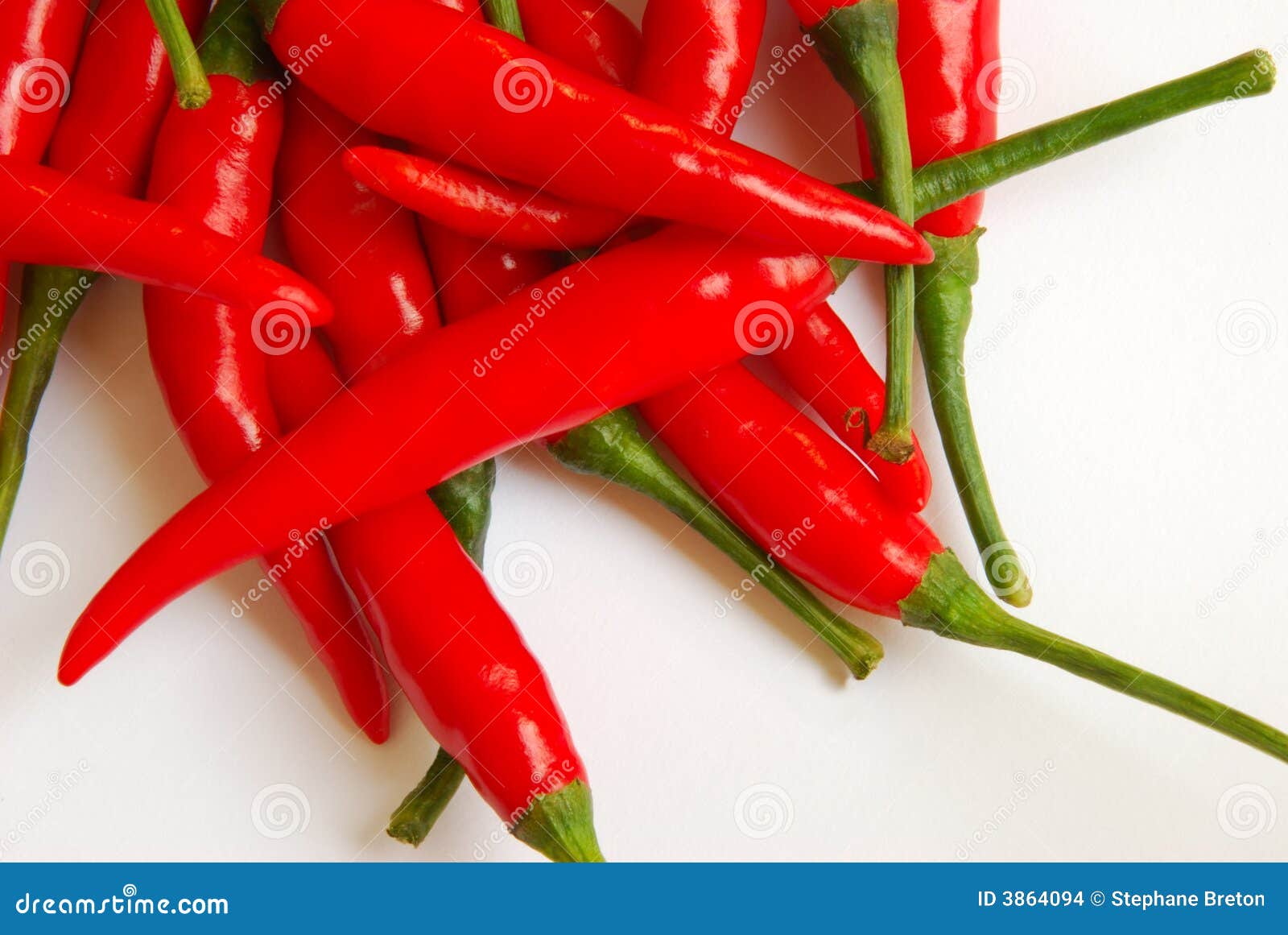 Hot pepper gang stock photo. Image of sandwich, meal, spicy - 3864094