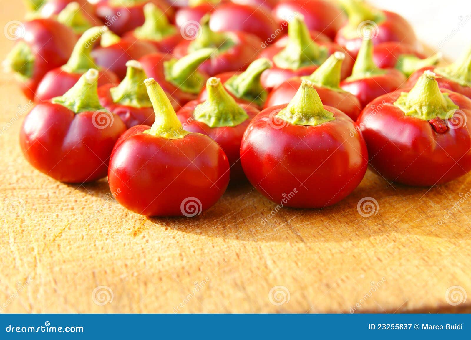 Hot pepper round stock image. Image of collection, strong - 23255837