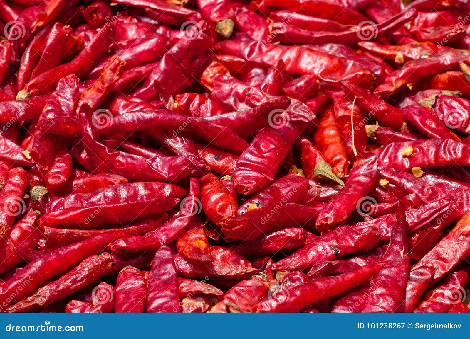 Hot Pepper, Seasoning, Dried in the Sun Stock Image - Image of texture ...