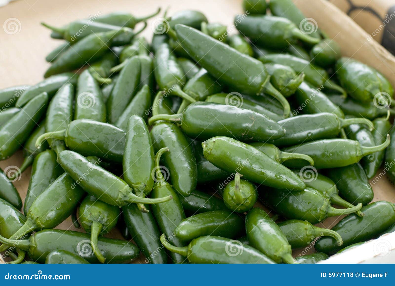 Hot peppers stock photo. Image of mixed, freshness, objects - 5977118