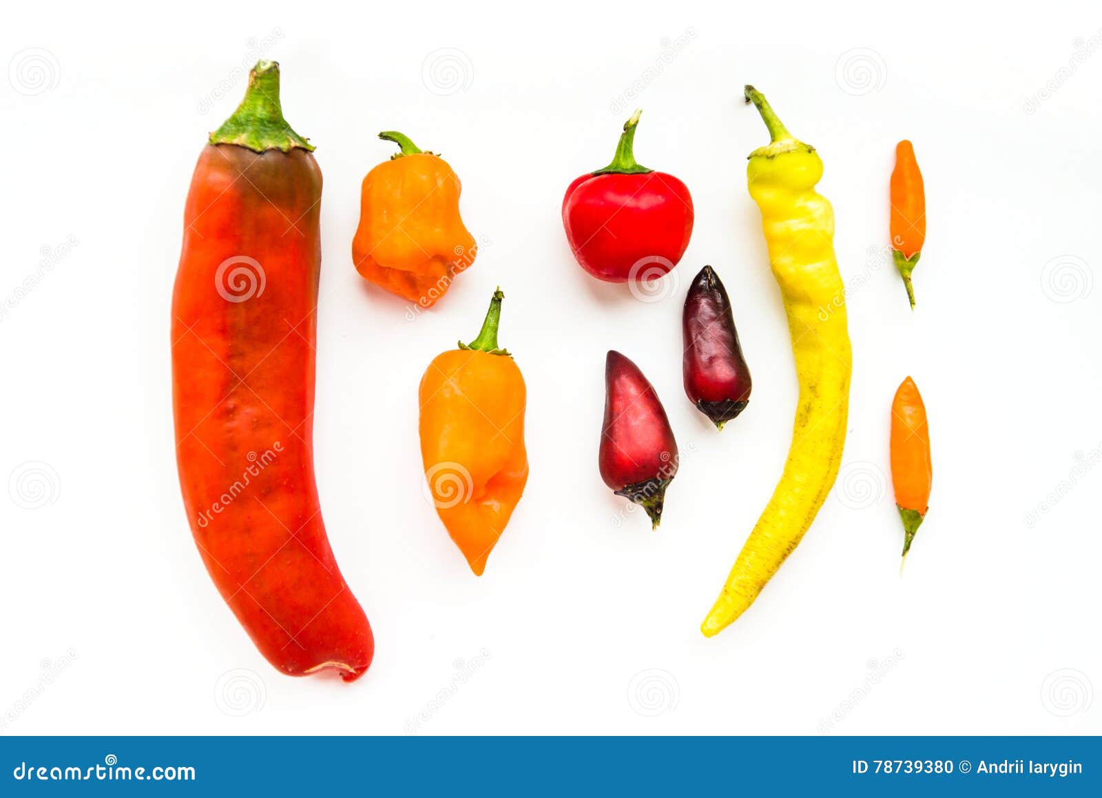 Hot peppers stock photo. Image of organic, spicy, color - 78739380