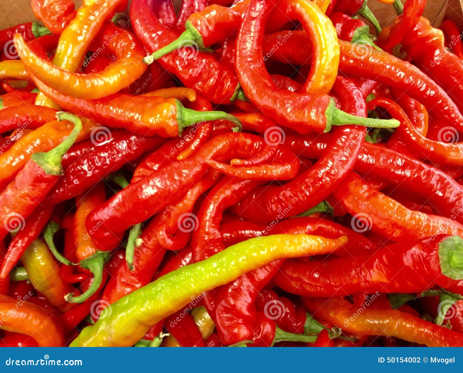 Hot Peppers stock photo. Image of nutritious, salsa, grocery - 50154002