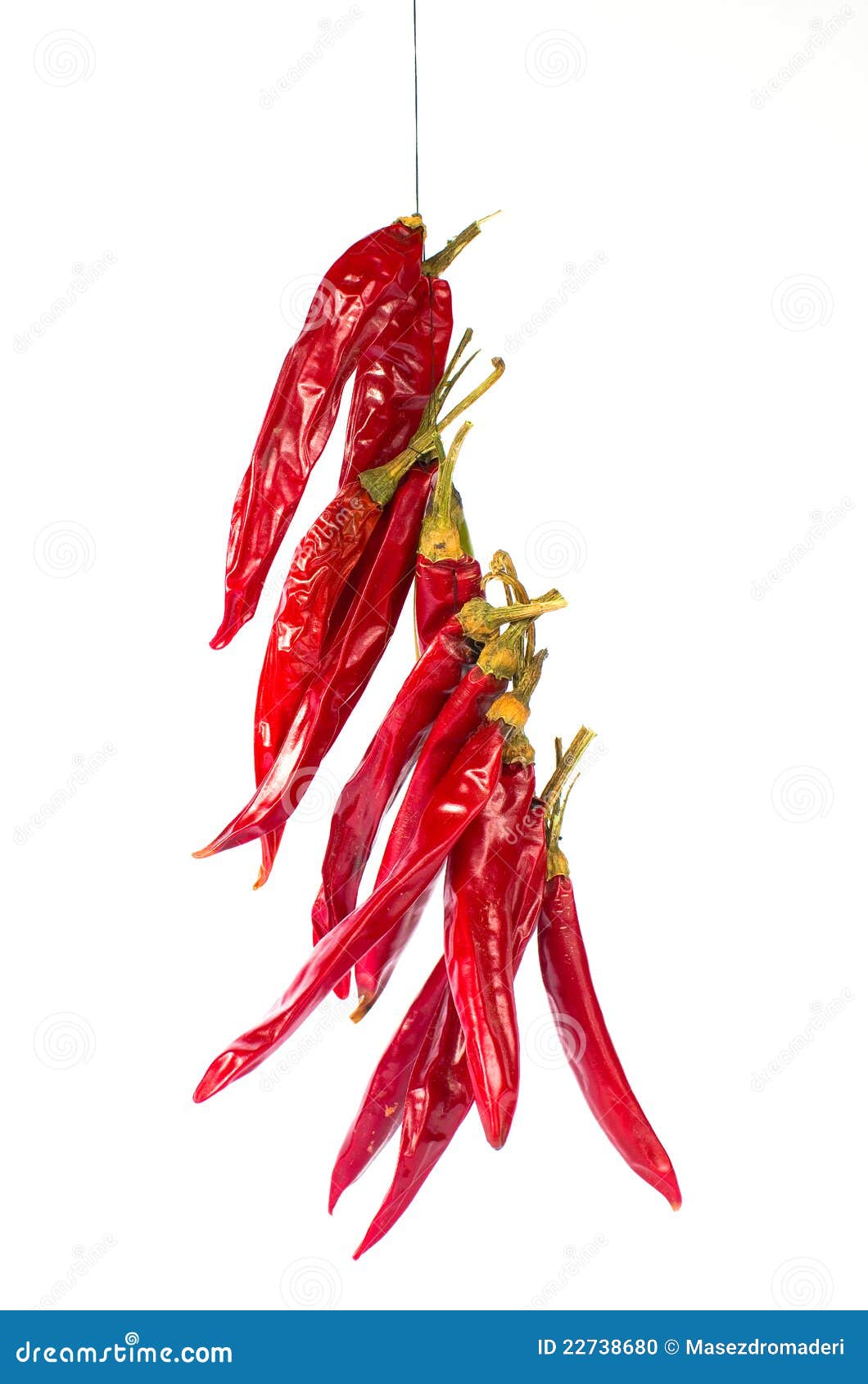 Hot peppers on string stock photo. Image of pepper, isolated - 22738680
