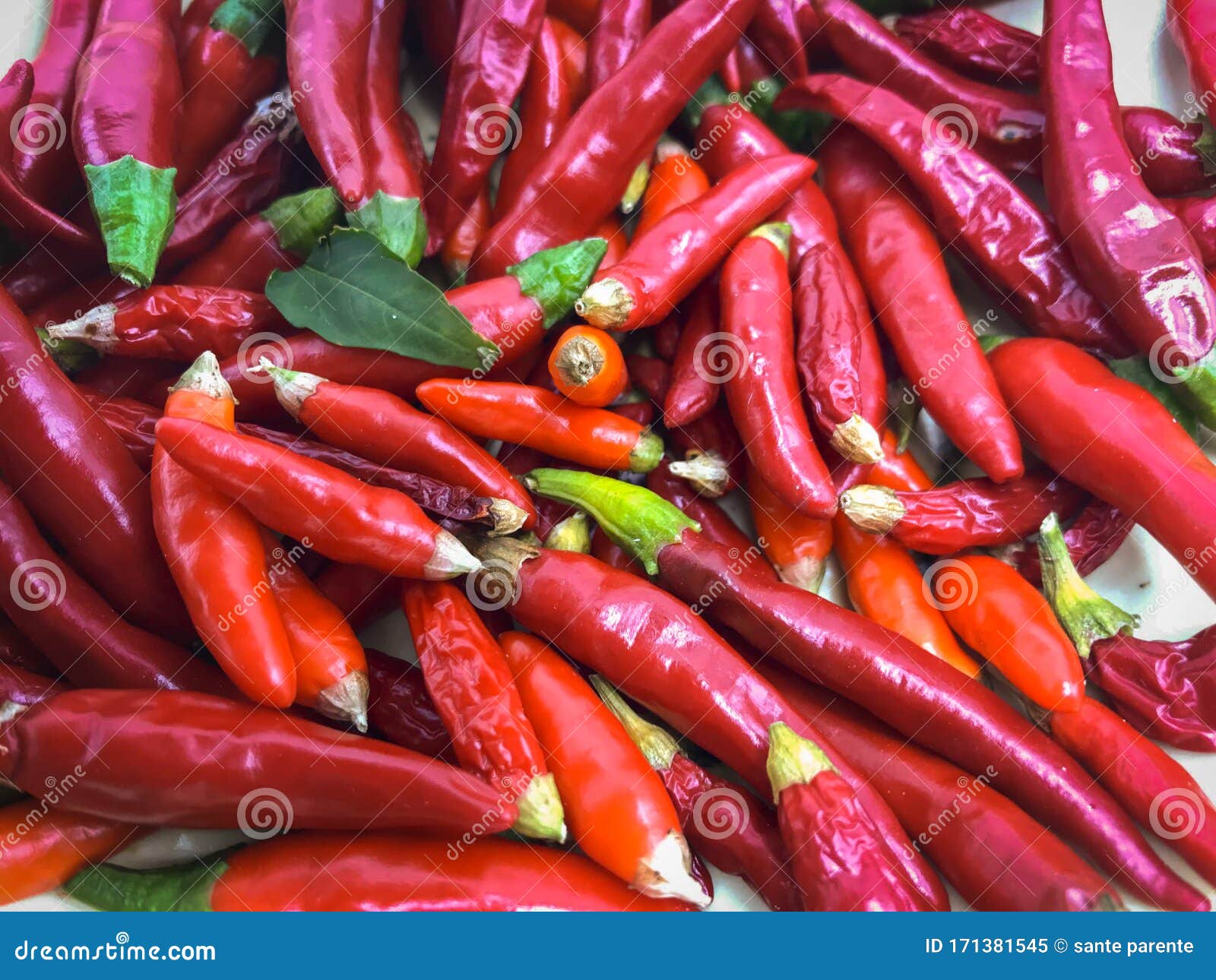 Hot red chili peppers stock image. Image of ingredient - 171381545