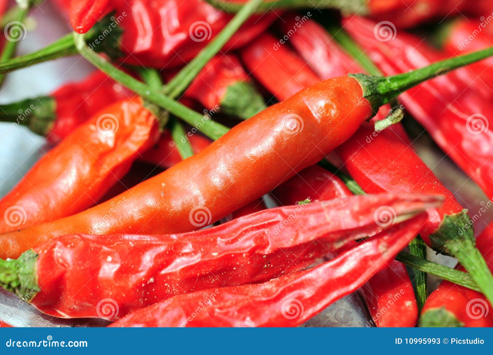 Hot red chillies stock image. Image of factor, green - 10995993