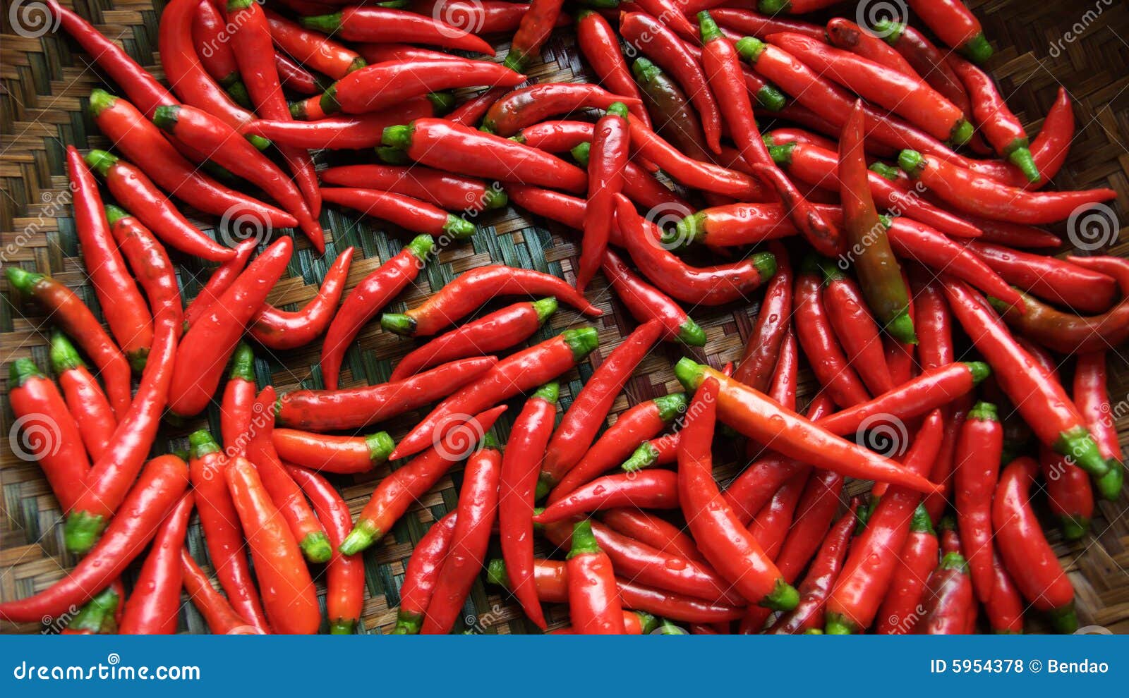 Hot red chillies stock photo. Image of asia, texas, lanka - 5954378