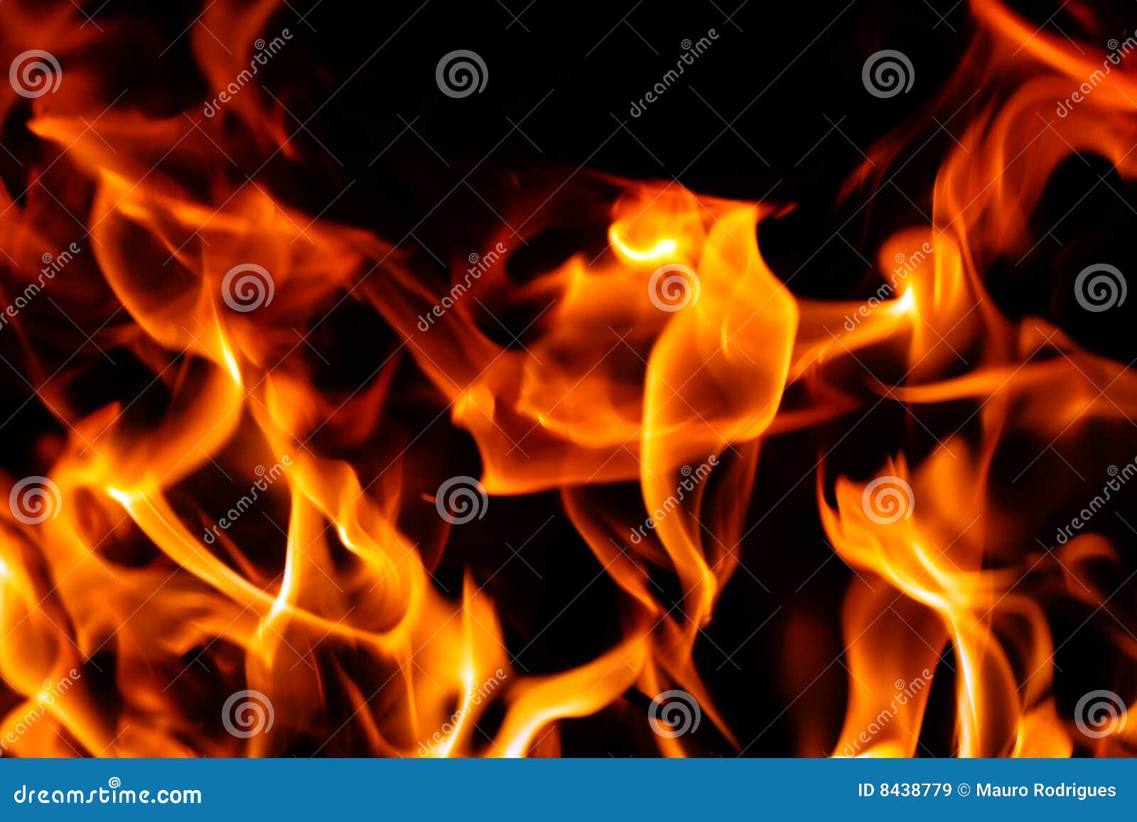 Hot red flames stock image. Image of campfire, glowing - 8438779