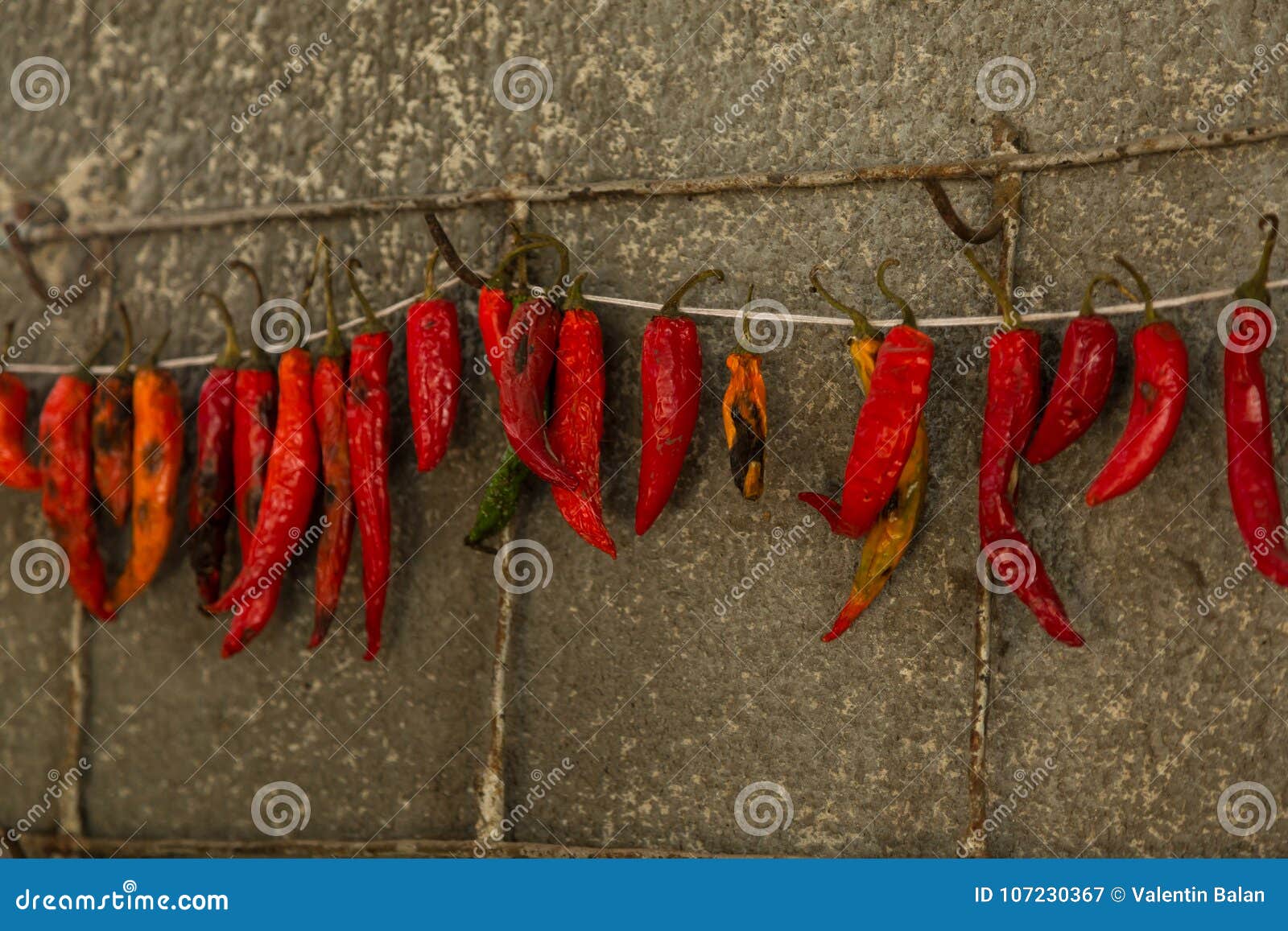 Hot chili pepper stock image. Image of chilli, design - 107230367