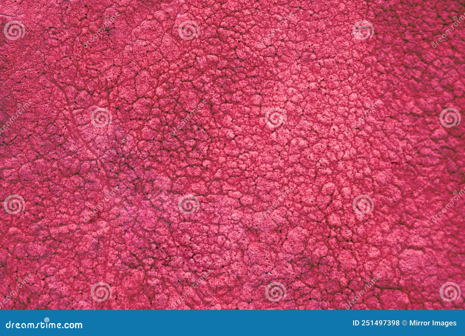 Hot Red-pink Rough-textured Surface Background Backdrop Stock Photo ...
