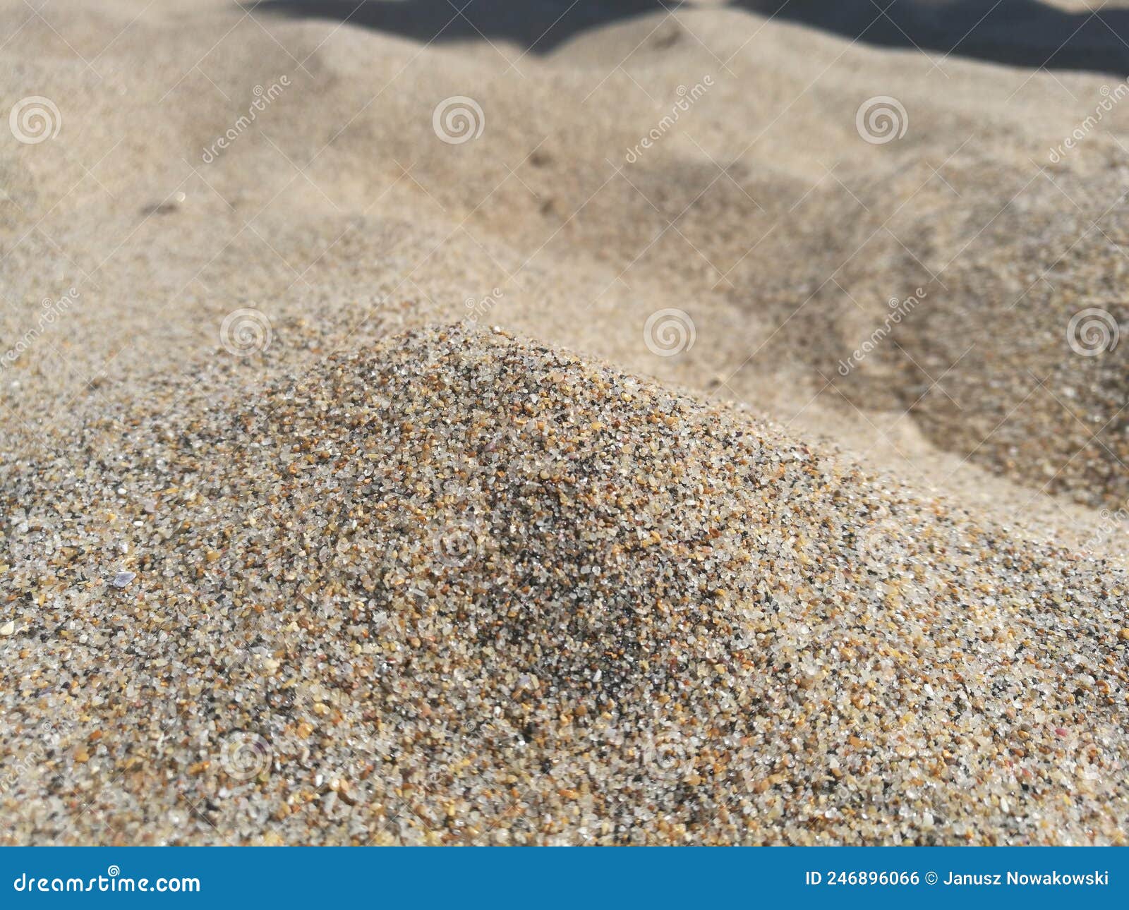 Hot sand closeup stock photo. Image of wildlife, produce - 246896066