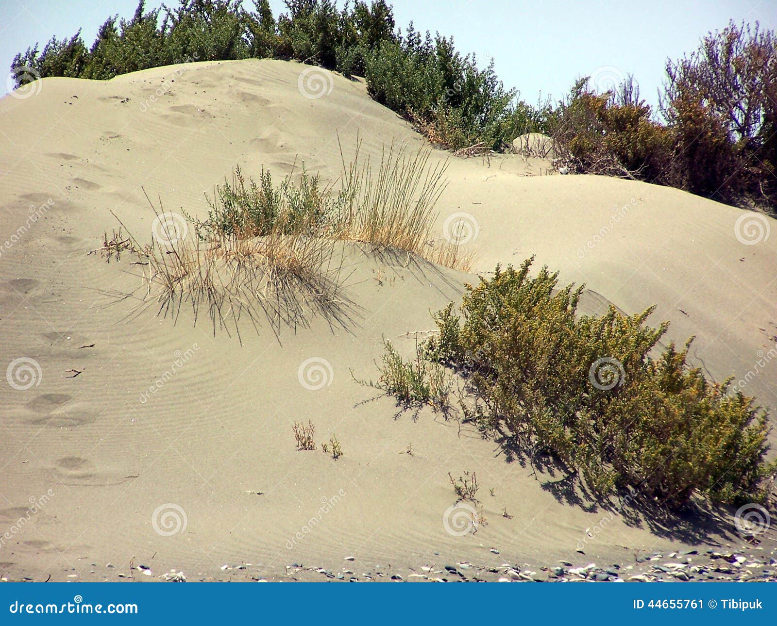 Mediteranian Sand in Cyprus Stock Image - Image of view, cyprus: 44655761