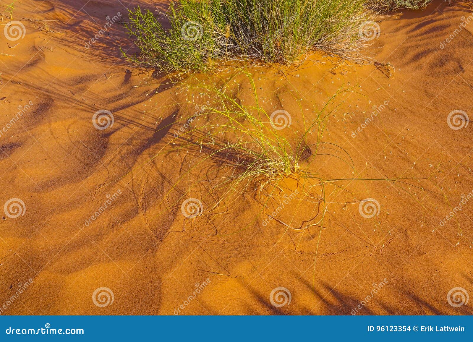 Hot Sand in the Desert of Nevada Stock Photo - Image of tourism, nature ...