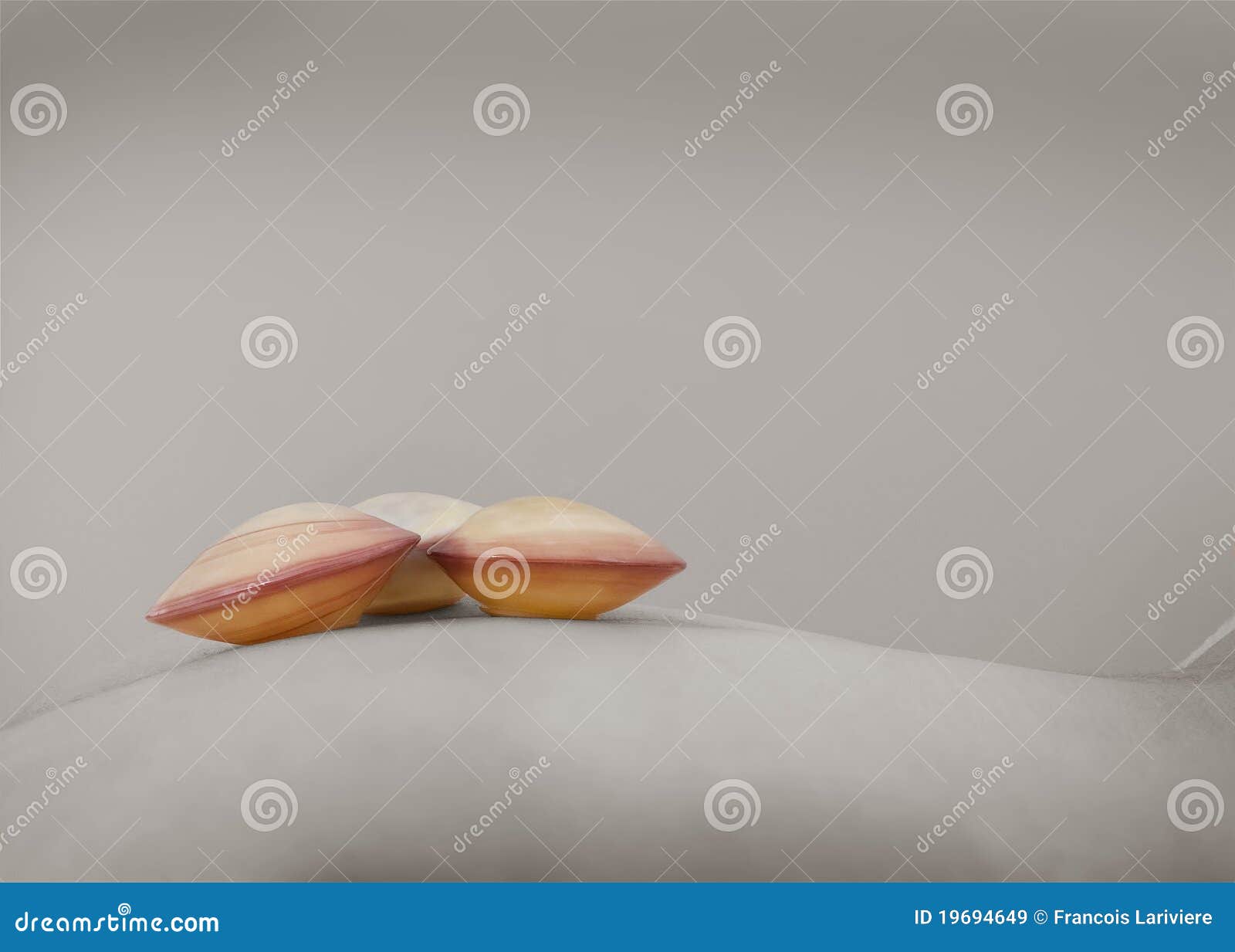 Hot shell massage on back stock image. Image of peace - 19694649