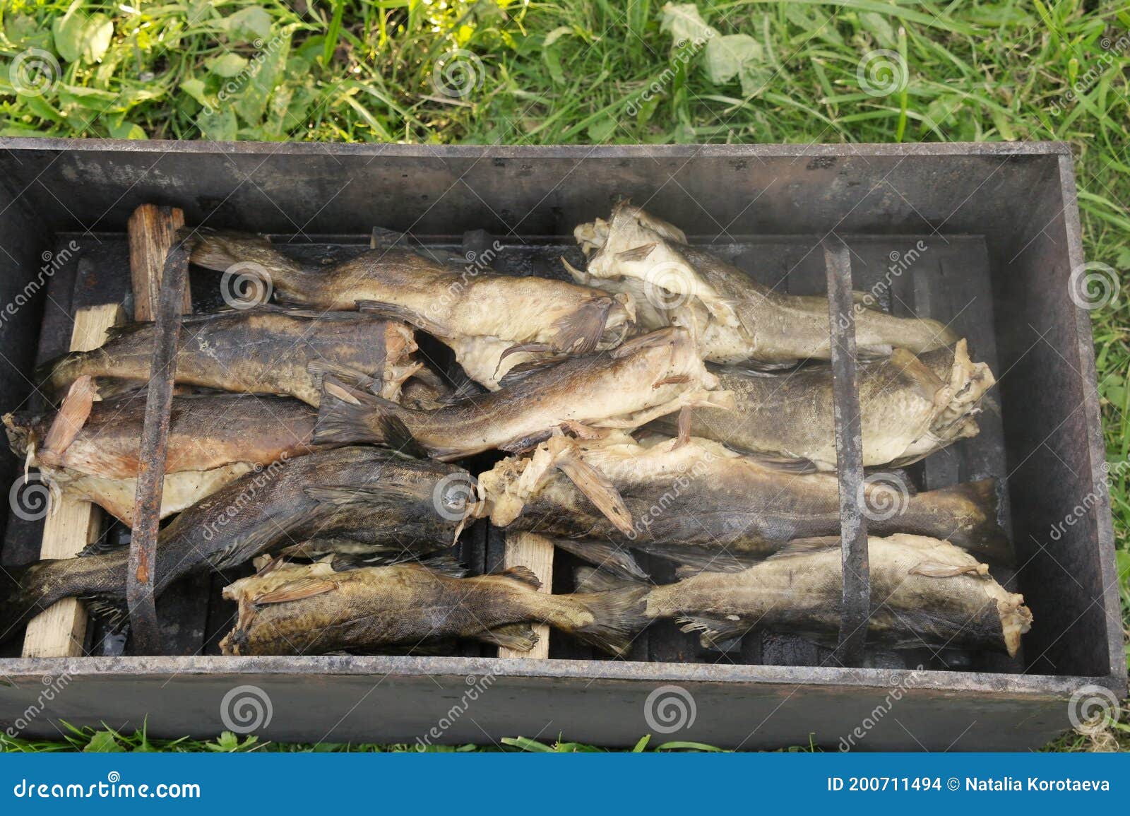 Hot smoked cod stock photo. Image of catch, food, smokehouse - 200711494