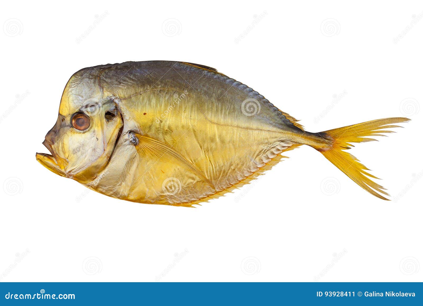 Hot Smoked Moonfish Fish on White Stock Image - Image of vomers, white ...